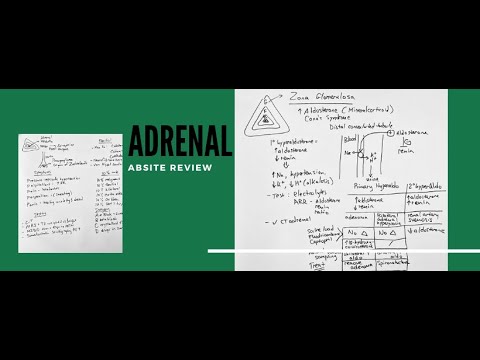 Adrenal ABSITE and board review