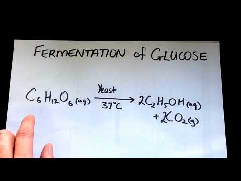 Fermentation - all the chemistry explained.