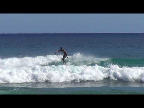 Nelson free surfing