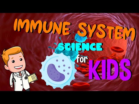 Immune System | Science for Kids