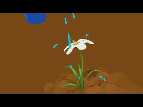 VR – Quill Animation Practice and Creations – Quentin's Blog