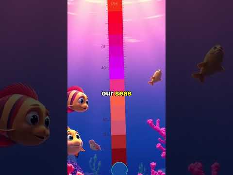 The Hidden Crisis: Ocean Acidification Explained 🌊