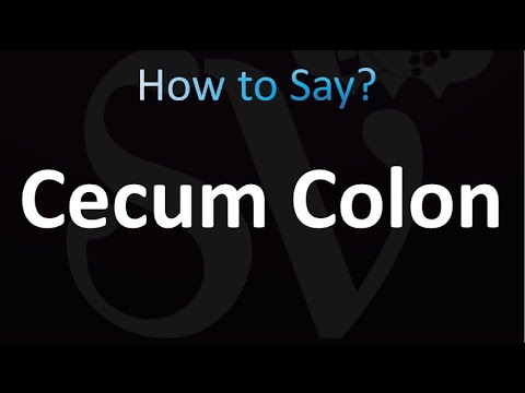 How to Pronounce Cecum Colon (correctly!)