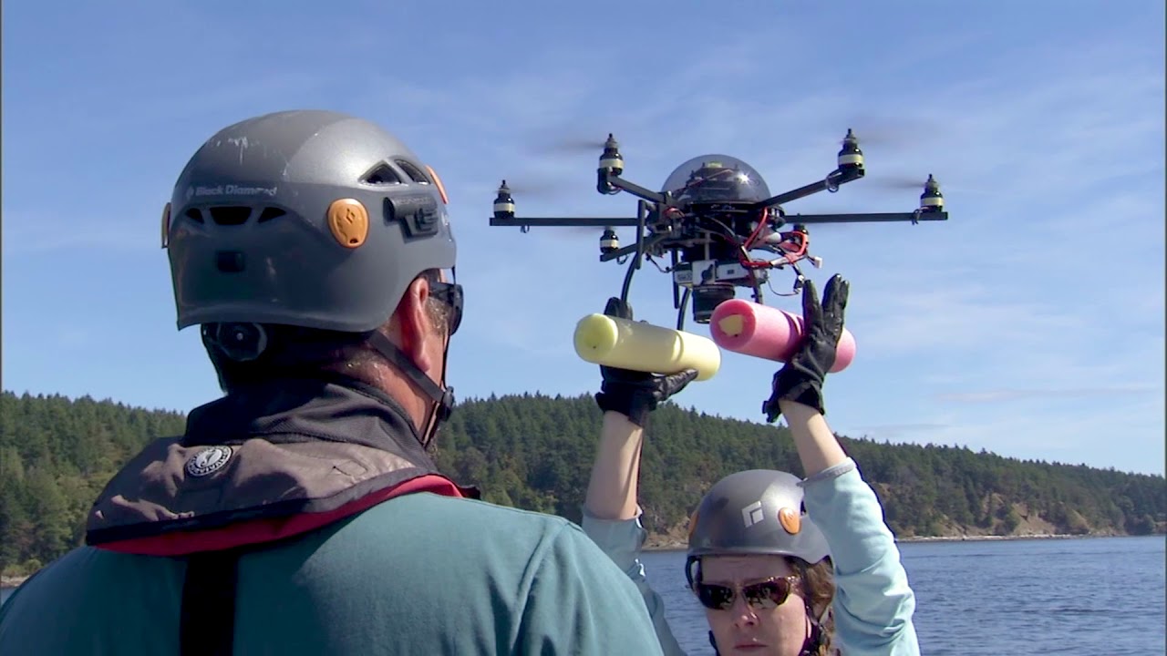 Killer Whale Research and Conservation Program