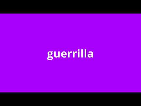 what is the meaning of guerrilla