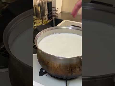 EASY HOMEMADE YOGURT