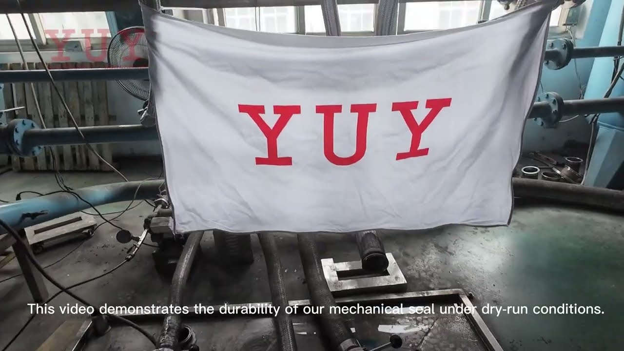 Dry mechanical seal test video