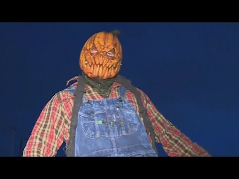 Cinema of Horrors: Drive-in experience