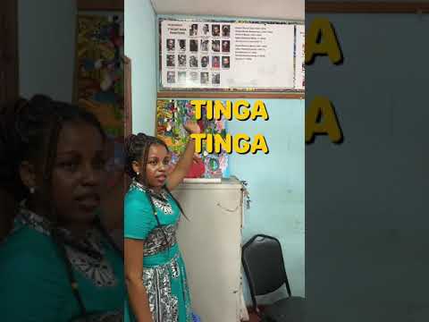 Artists Who Introduced Tinga Tinga Paintings in Tanzania #Shorts