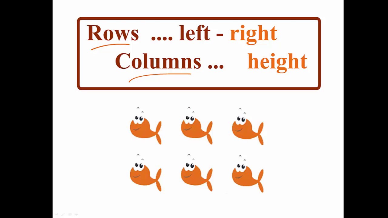 What is the difference between Rows and Columns (Programming)?