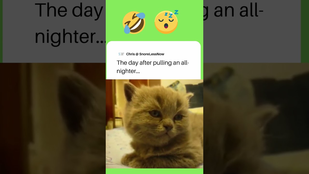 🤣Are you okay buddy? #dailymemes try not to laugh ylyl 2023