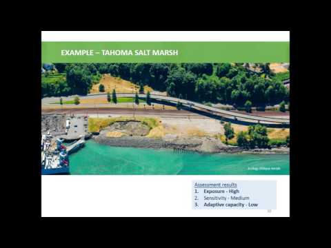 City of Tacoma climate change resilience study: infrastructure, ecosystems and social systems