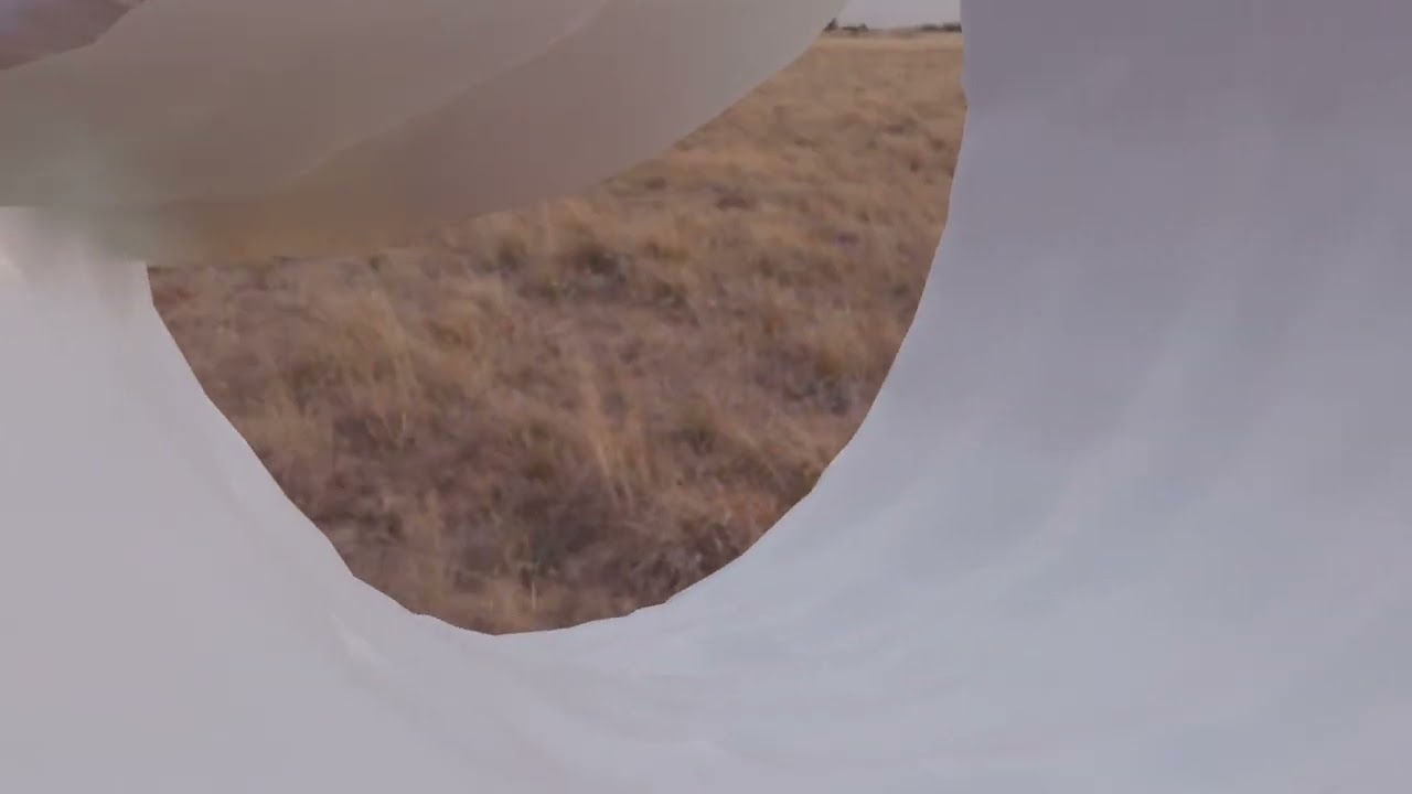 Snail Trail, video, 2023