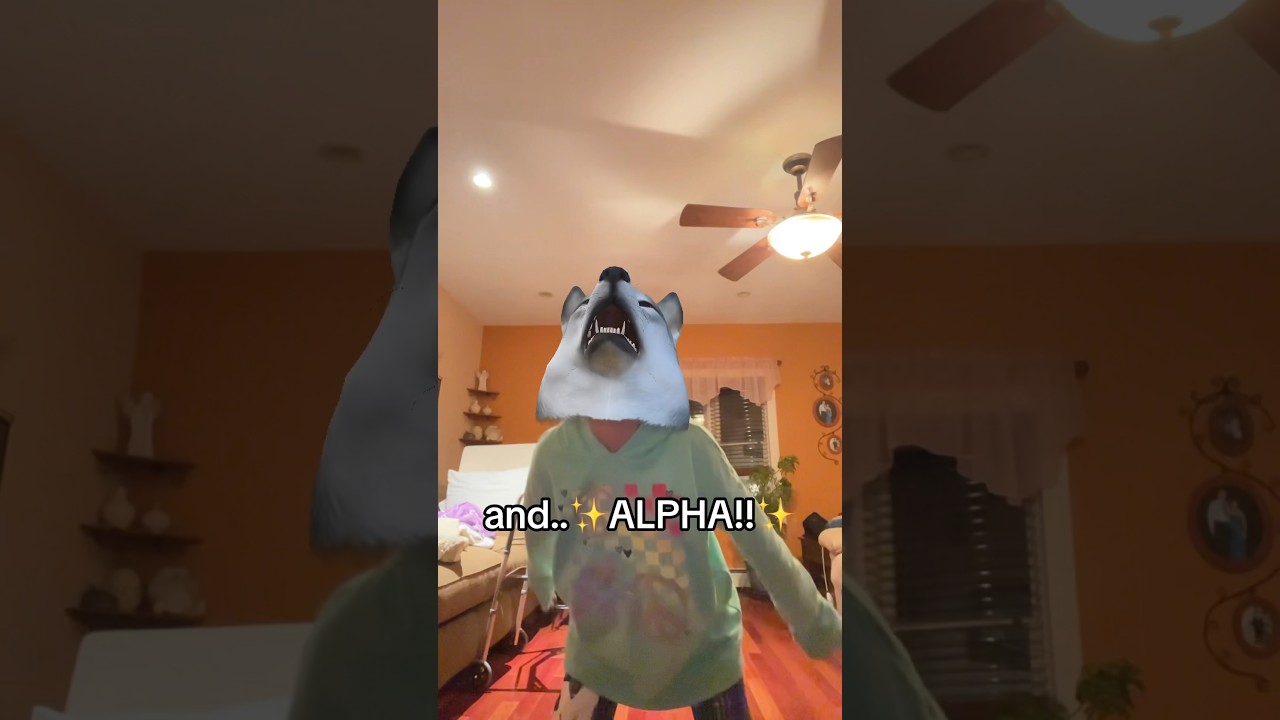 i have ✨4 moods✨ #fypシ #alpha #mood #silly #angry #sad #foryourpage #fy #fyp