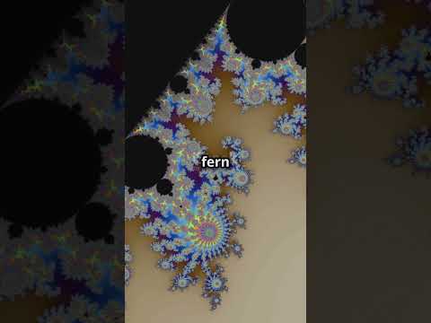 Fractals: The Mathematics of Nature's Patterns