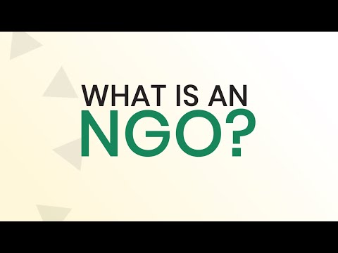 What is An NGO?