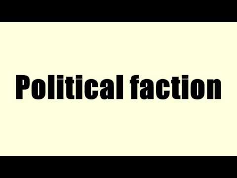 Political faction
