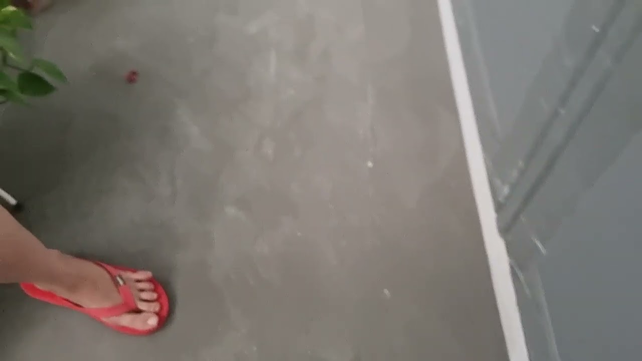 Iphone 3gs Stocks voice memos Compass 2010