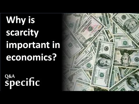 Why is scarcity important in economics?