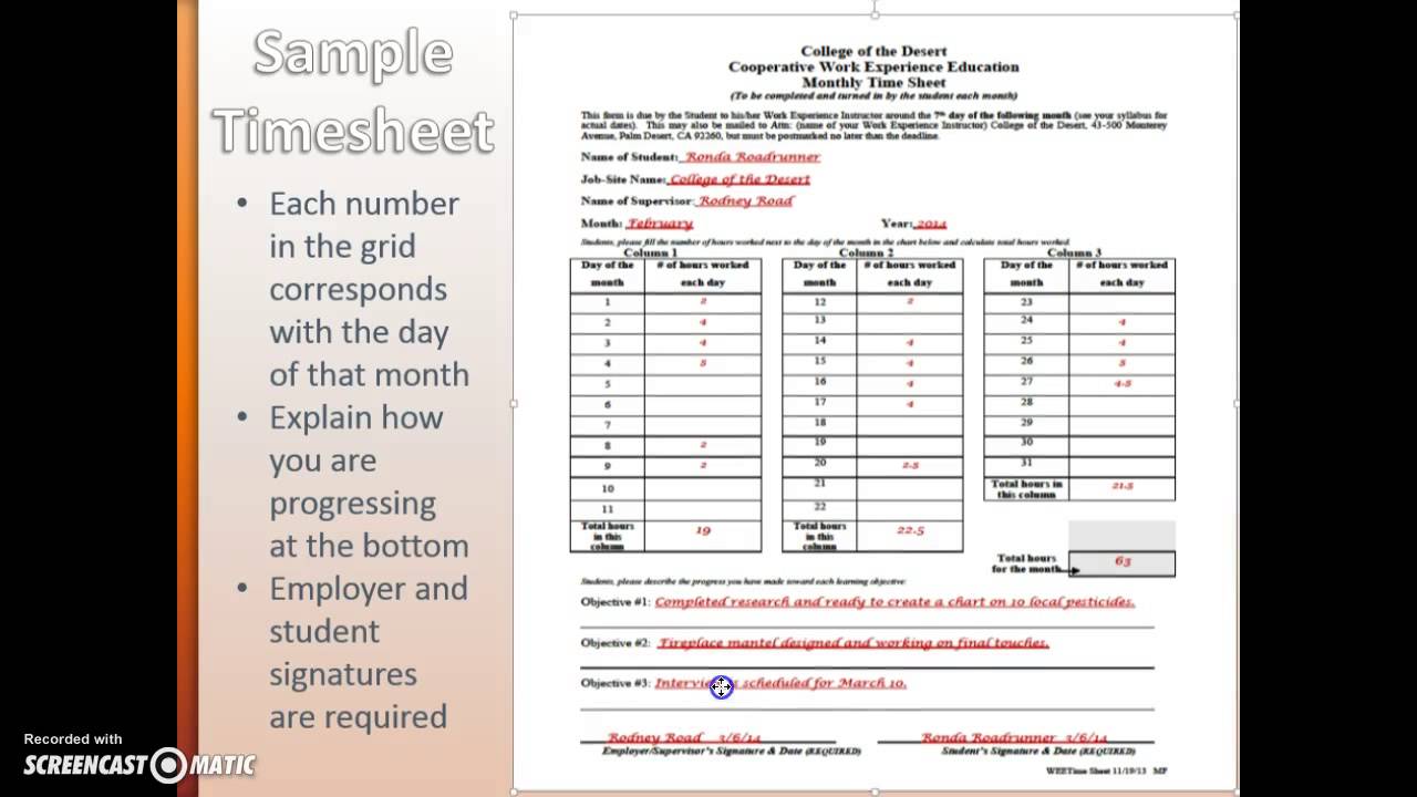 Monthly Timesheet Instructions