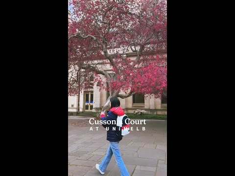 Spring time in Melbourne