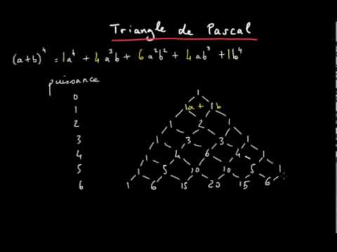 Le triangle de Pascal (vidéo) | Probabilités | Khan Academy