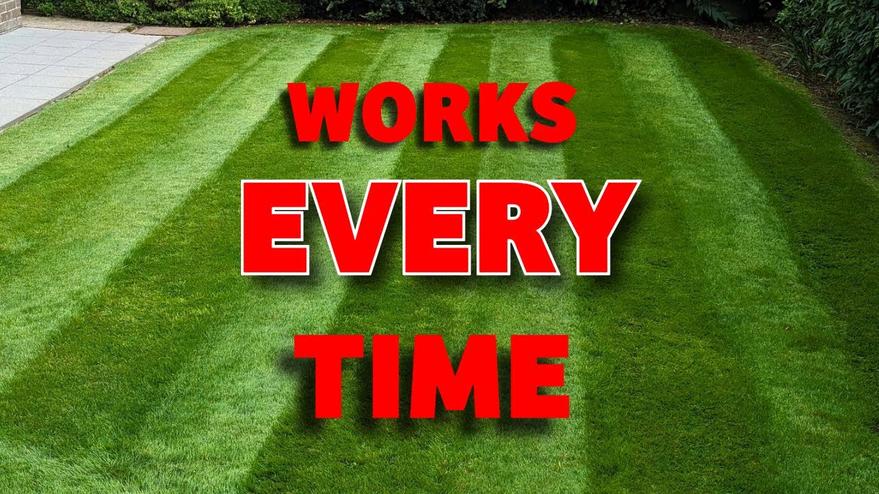 How To Get a Thick, Green, Lush Lawn (Even If You’re a Total Beginner!)