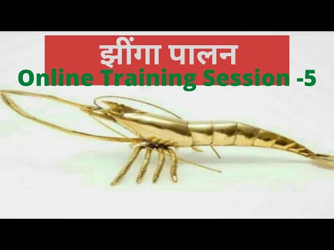Online Shrimp Training - BioFloc Water Prep, Feeding, Acclimatization & Management in Hindi - Part 1