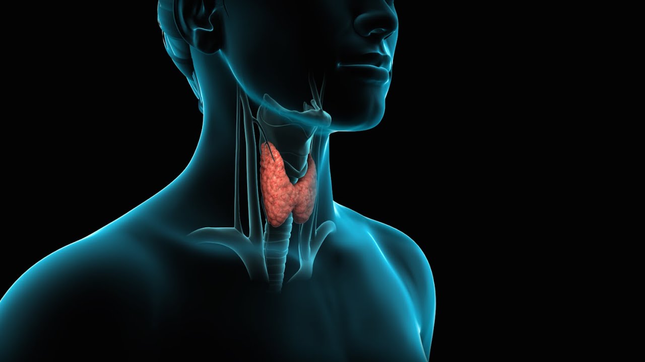 Thyroid Surgery (Thyroidectomy)