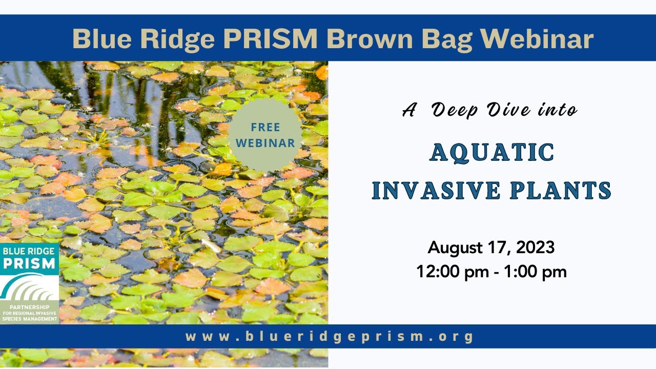 Brown Bag Session:  A Deep Dive into Aquatic Invasive Plants