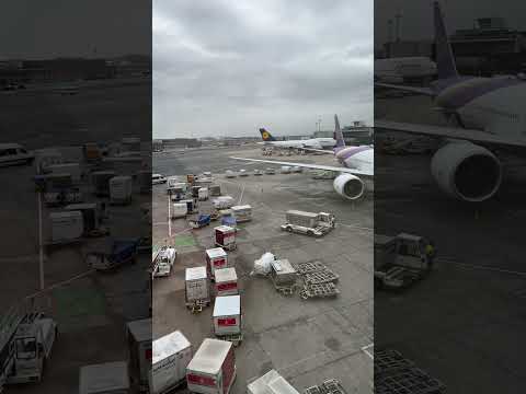 A little view from Frankfurt Airport’s apron