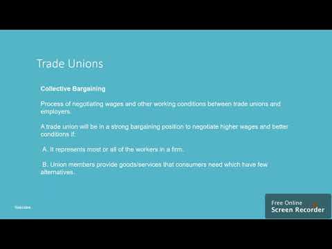 19. IGCSE ECONOMICS 0455: C19 TRADE UNIONS
