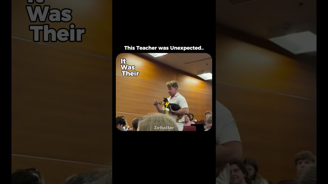 this Teacher did something that was totally Unexpected #hopeless #hopecore #funny
