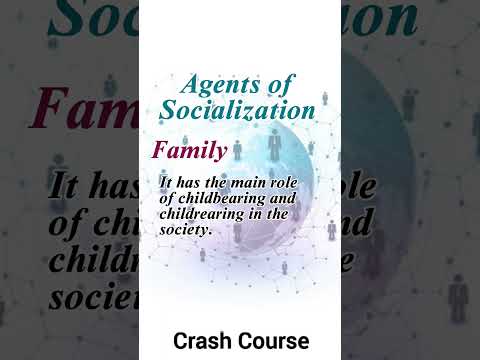the family as an agent of socialization #crashcourse #sociology