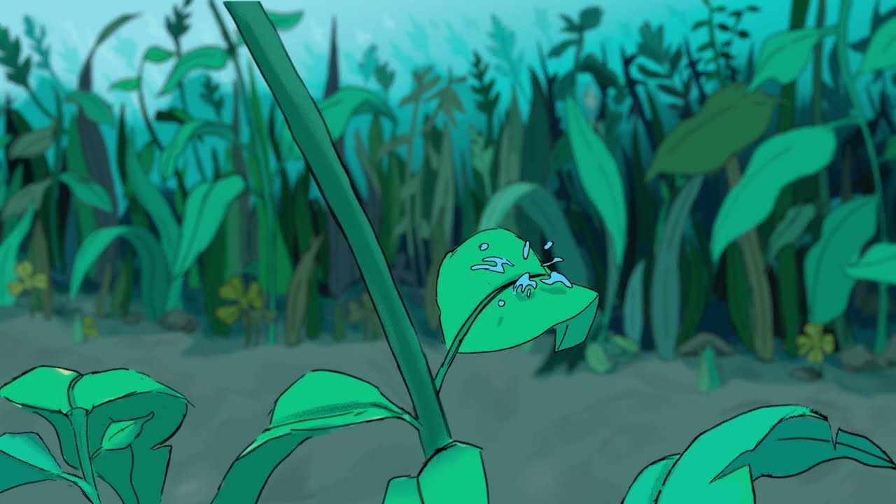 Animation test - Little plant