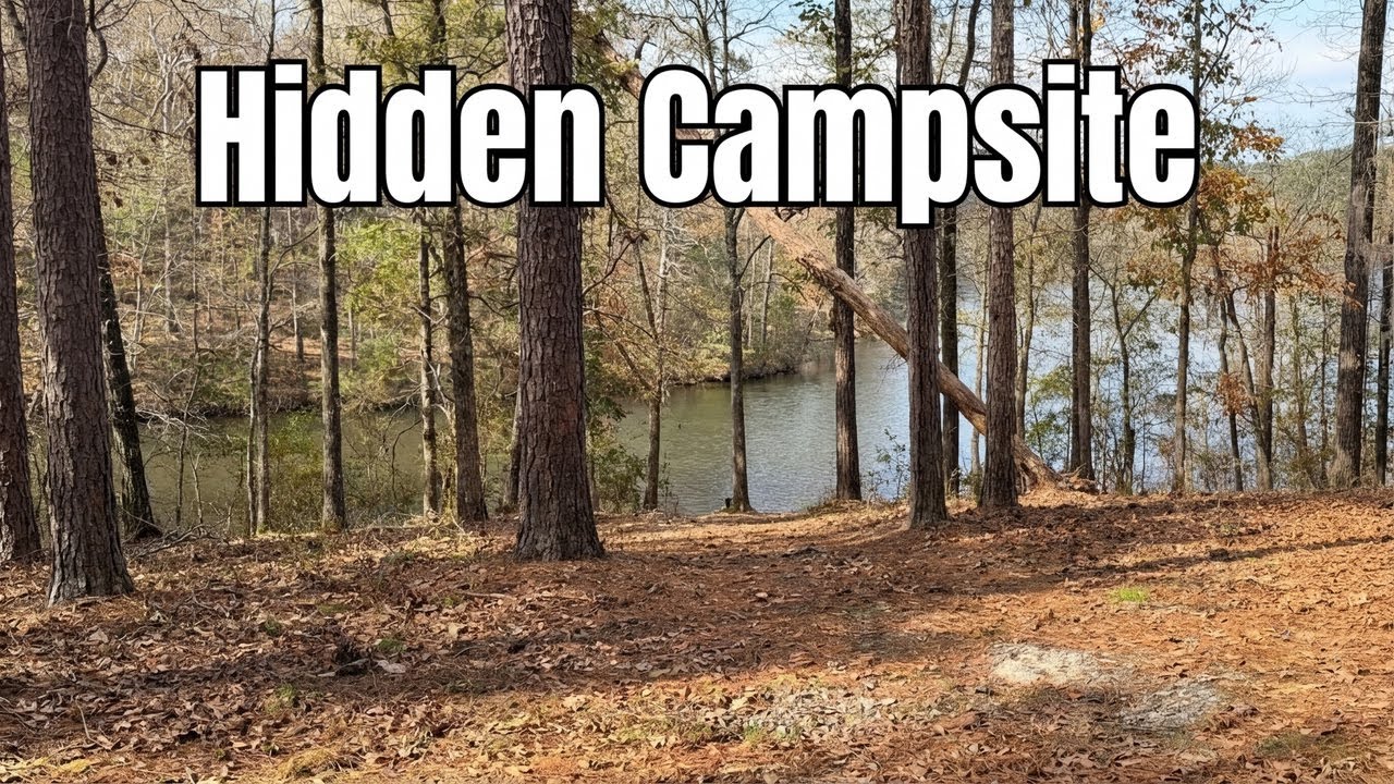 I Went to Kisatchie National Forest… and Found This Hidden Campsite