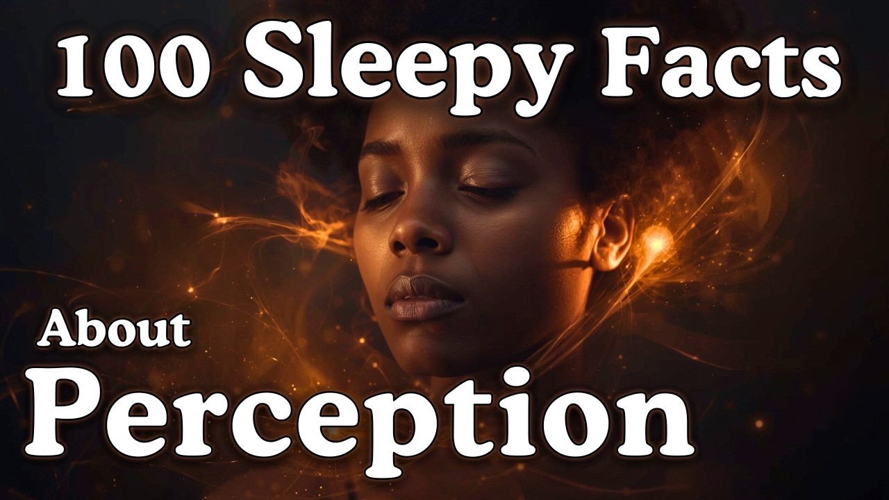 The Most Relaxing Facts About Perception to Fall Asleep To