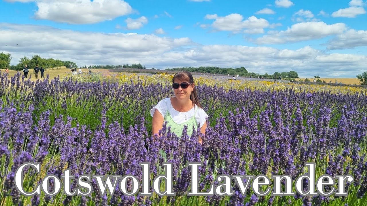 Cotswold Lavender Farm | Stunning Summer Blooms, Wildflowers & English Countryside Beauty