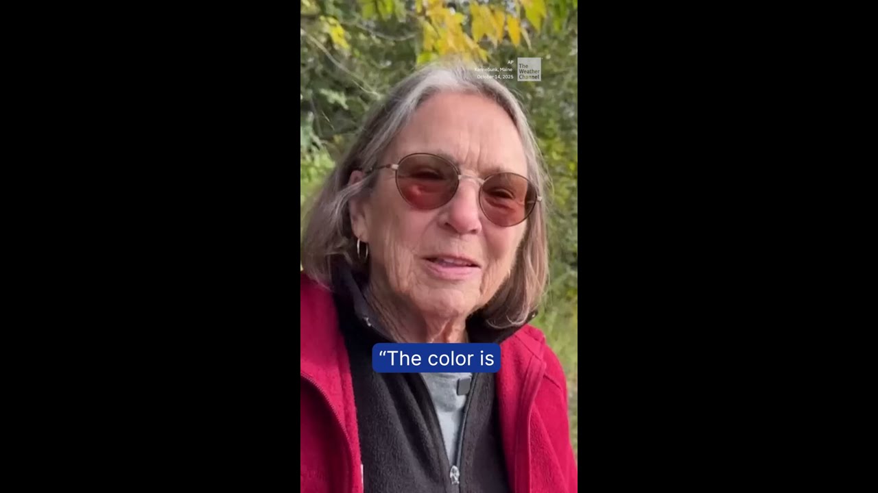 Fall Foliage Flop? Why Leaf Colors Are Muted This Year