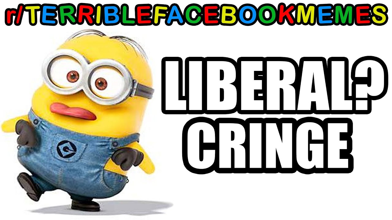 r/Terriblefacebookmemes · what the