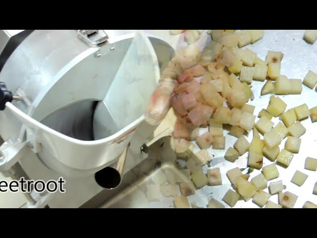 Cosmos Vegetable Cutting Machine - Cosmos Multi Functional Vegetable ...