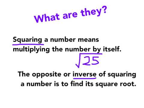 Year 8: Squares and Square Roots