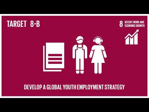 SDG Target #8b