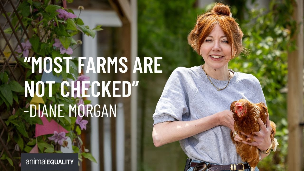 Diane Morgan meets rescued animals with Animal Equality
