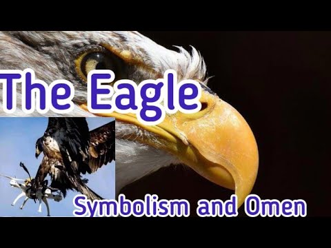 Symbolism of the Eagle. Beliefs and Omen