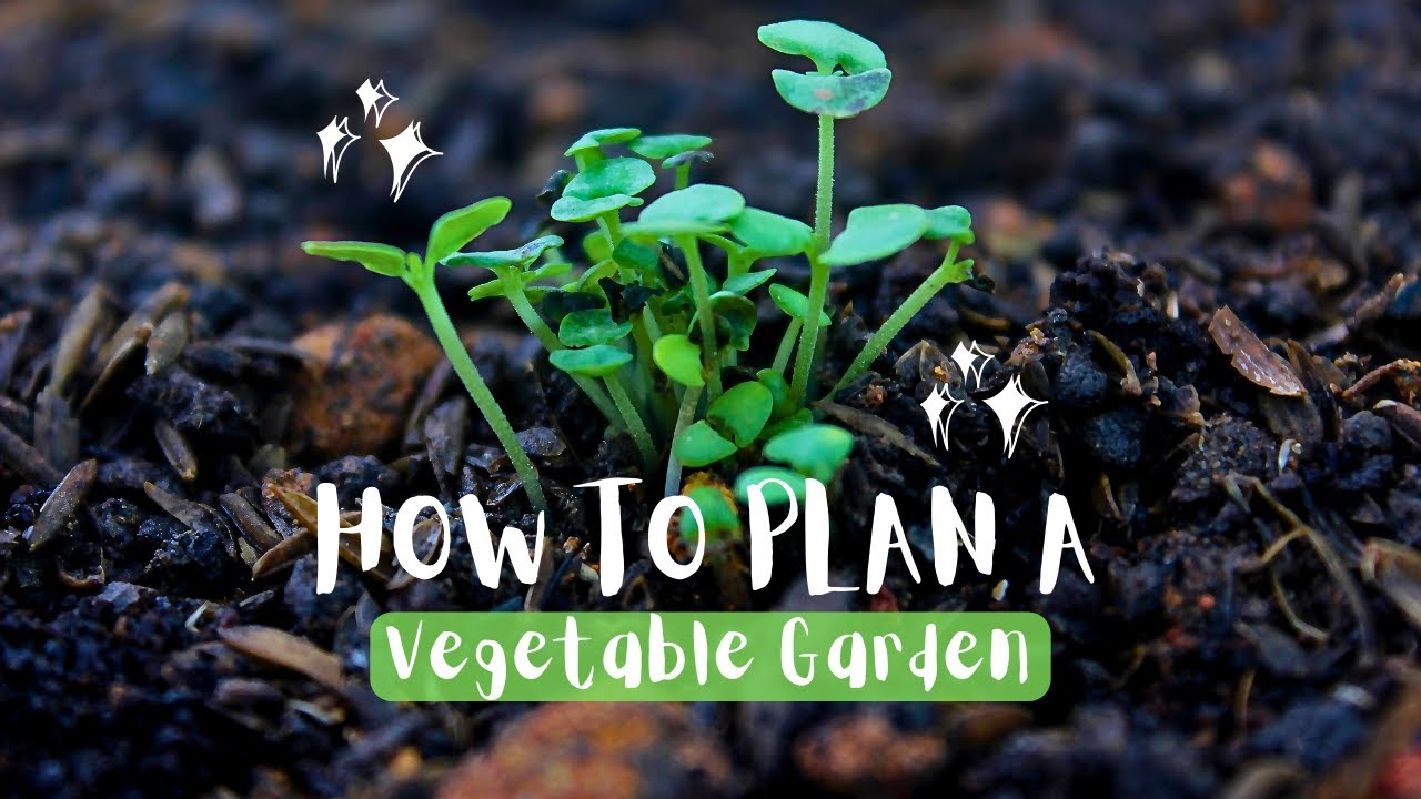 How to Plan a Vegetable Garden | Garden Planning Layout