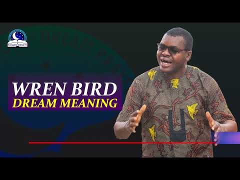 Wren Bird Dream Meaning - Symbolism and Interpretations