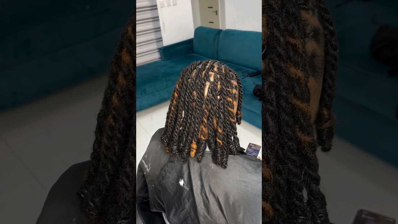 Starter locs with natural loc extensions🔥Beautiful style🥵😍Extensions and install  @locpalace_1.