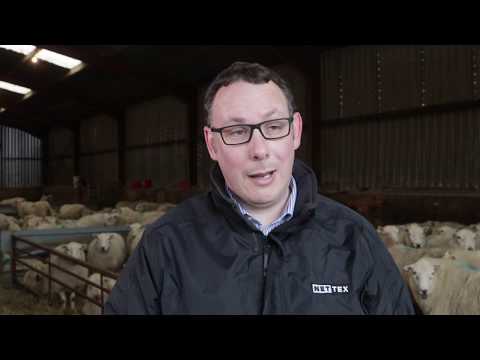 Nettex - Promark Aerosol Spray for Lambs