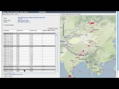 Tutorial: How to run the Douglas Argos Filter in Movebank